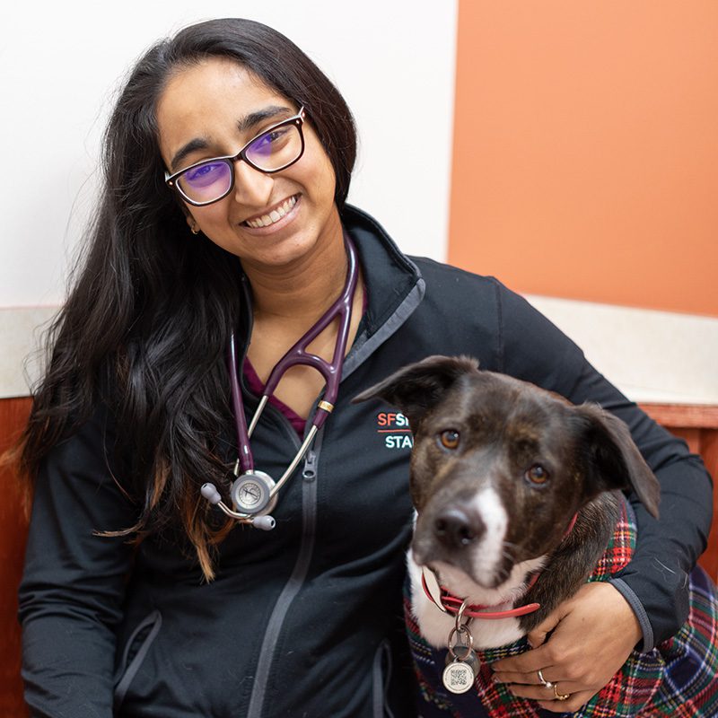 Community Clinic - San Francisco SPCA