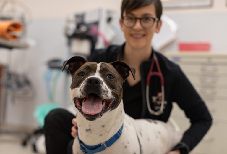 About - San Francisco SPCA