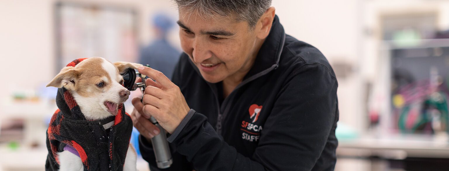Veterinary Hospital - San Francisco SPCA