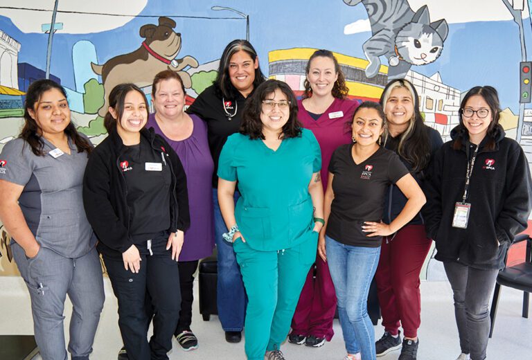 About - San Francisco SPCA