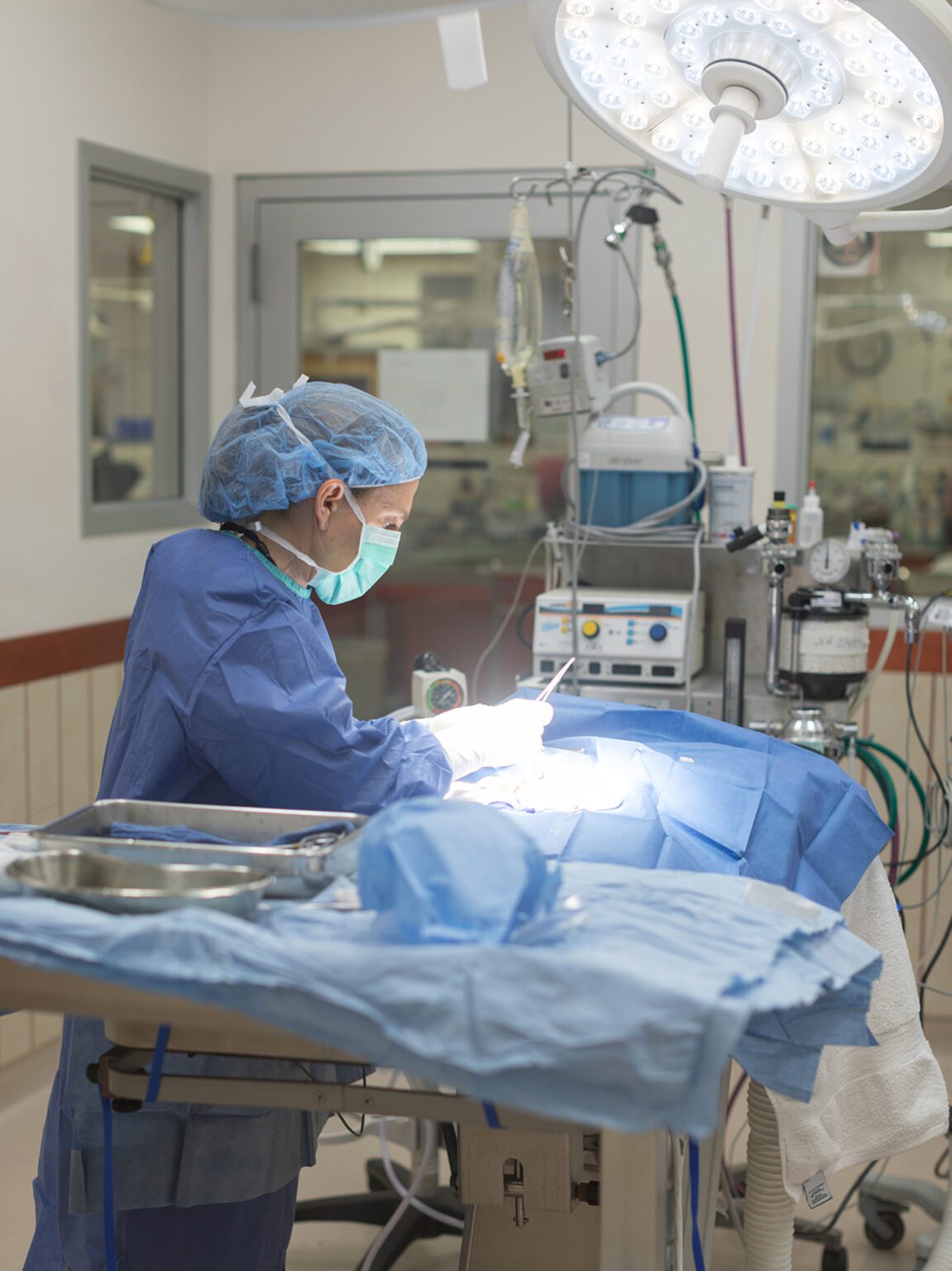 Hospital - San Francisco SPCA