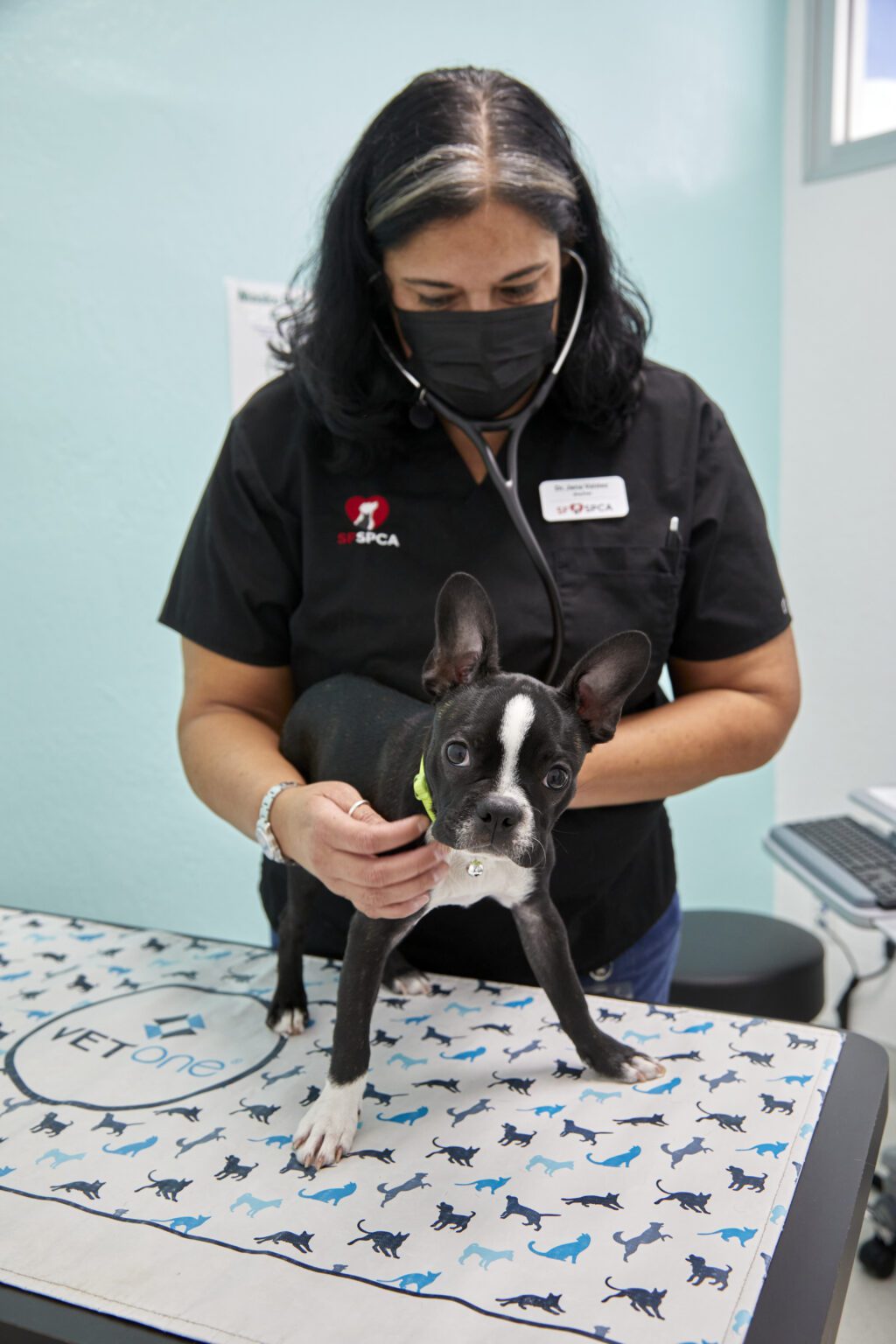 Community Clinic - San Francisco SPCA