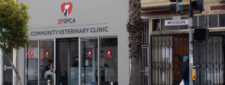 Community Clinic - San Francisco SPCA