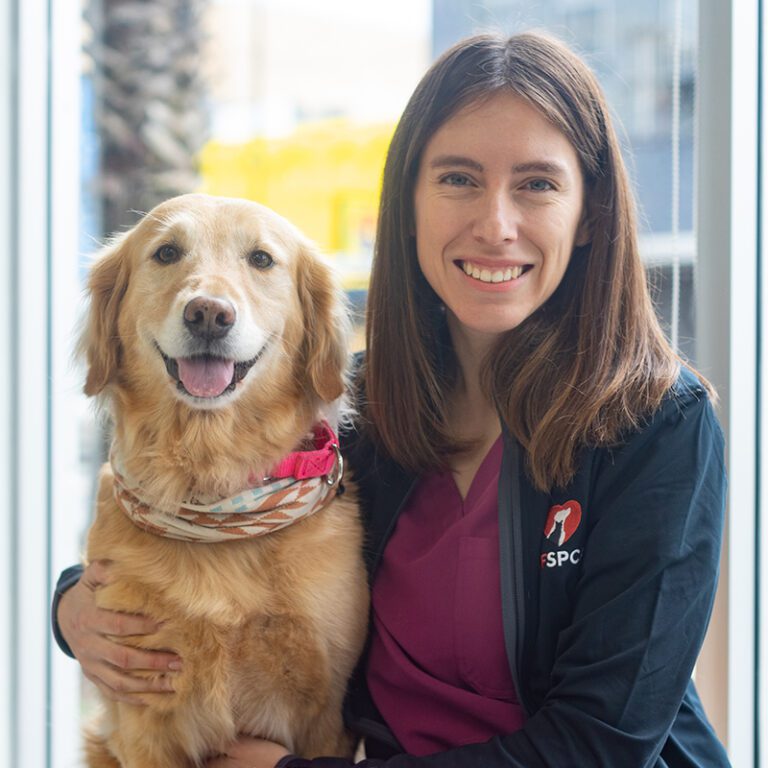 Community Clinic - San Francisco SPCA