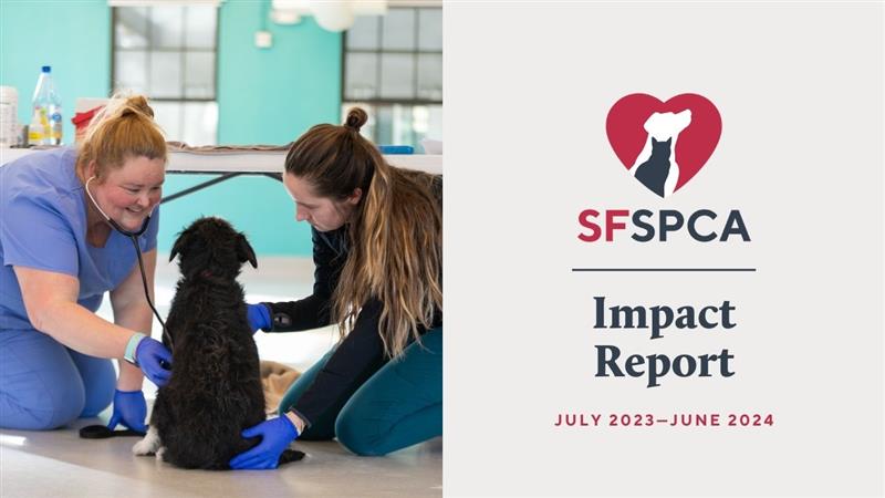 Impact Report 2024 - San Francisco SPCA