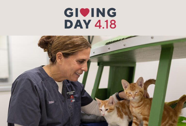 Home Page - San Francisco SPCA