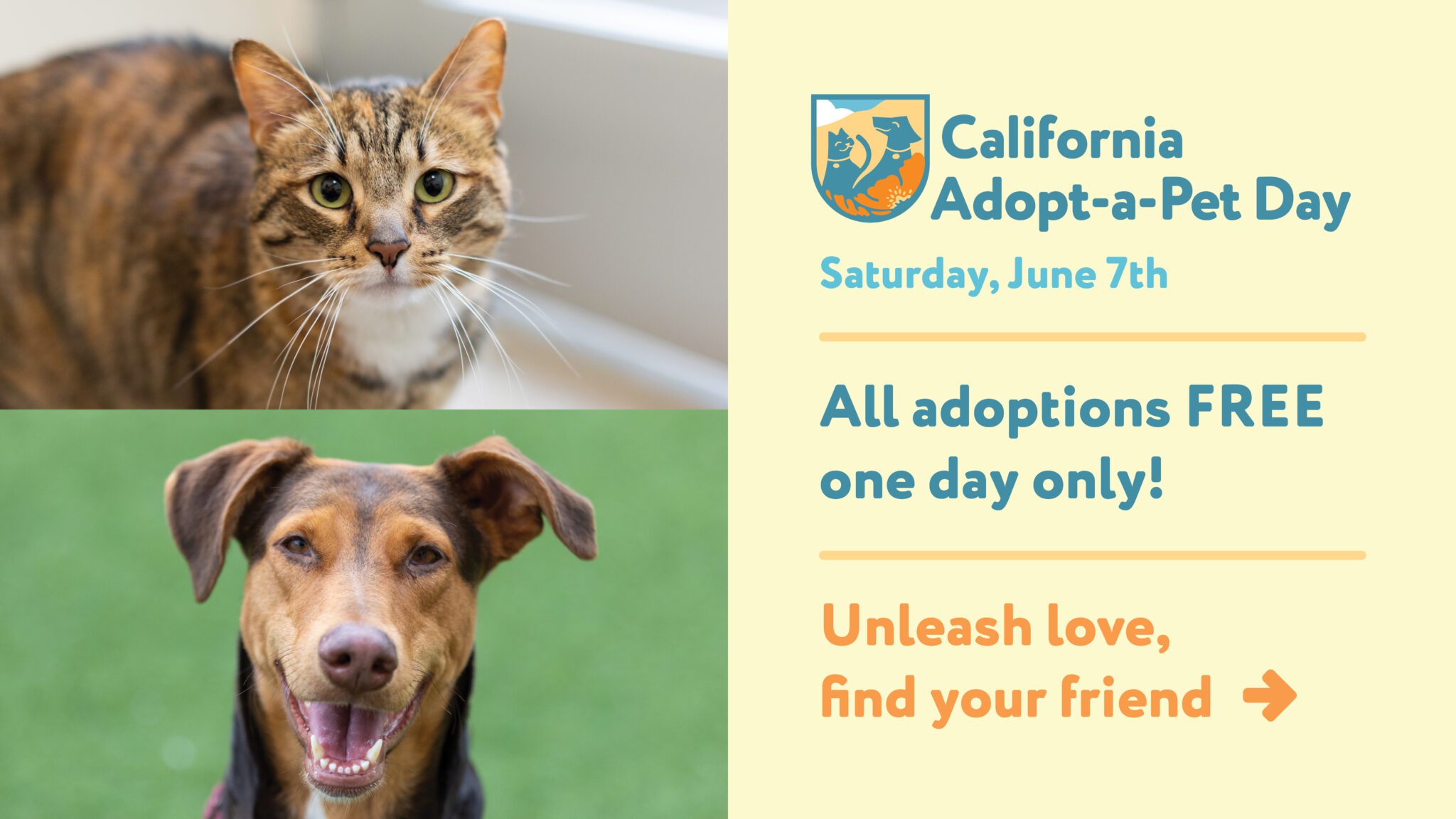 Home Page - San Francisco SPCA