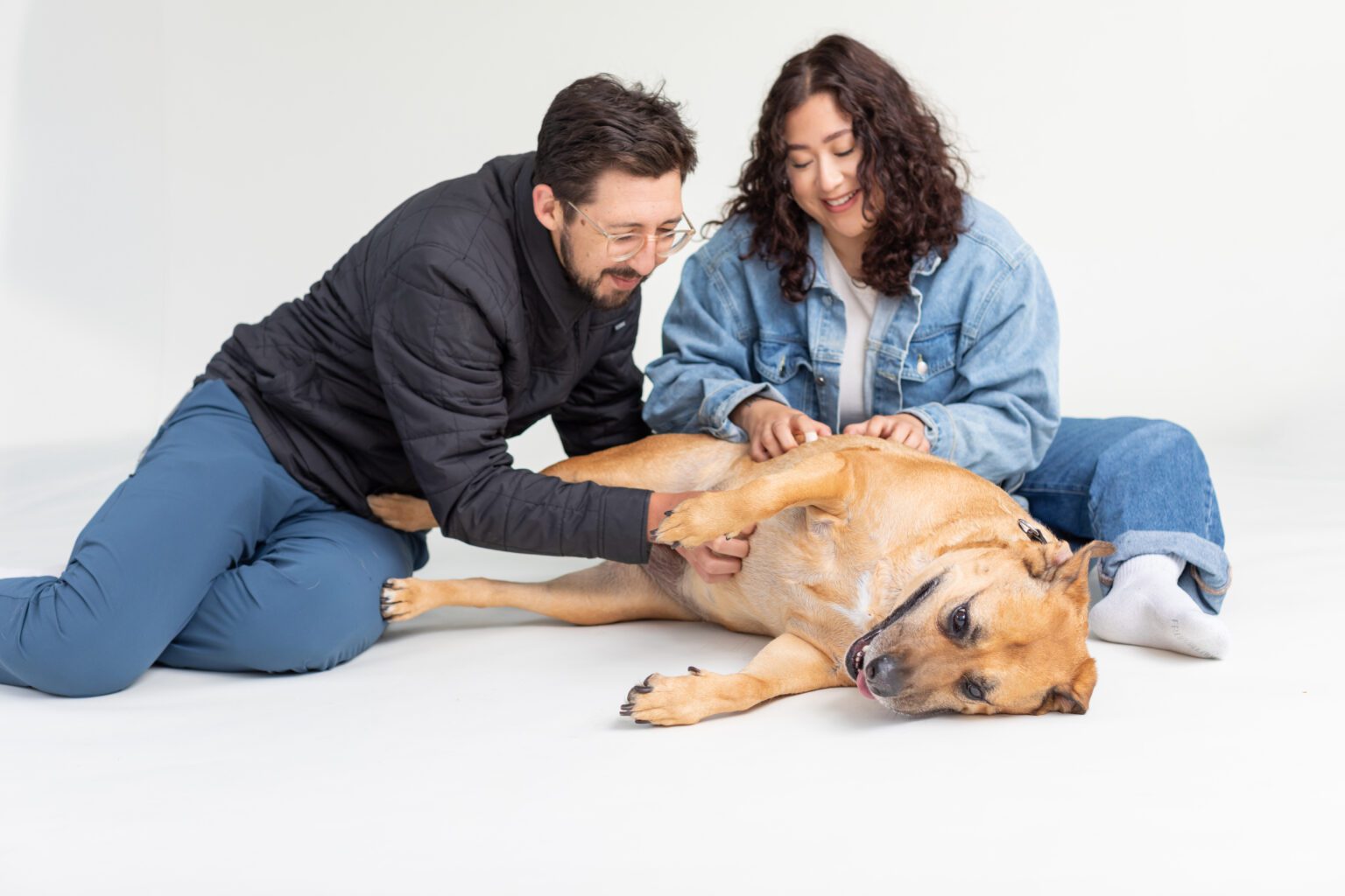 Home Page - San Francisco SPCA
